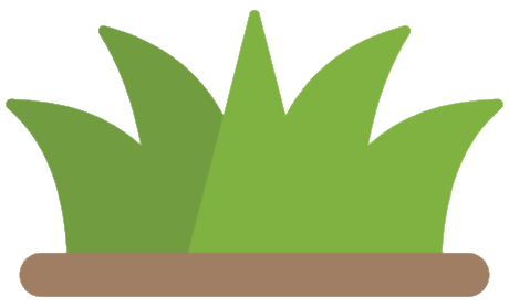 Souleiman Ayoub | Software Engineer